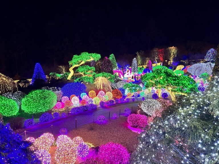 Week 2 - The Garden of Morning Calm Light Festival - Fund for Education ...