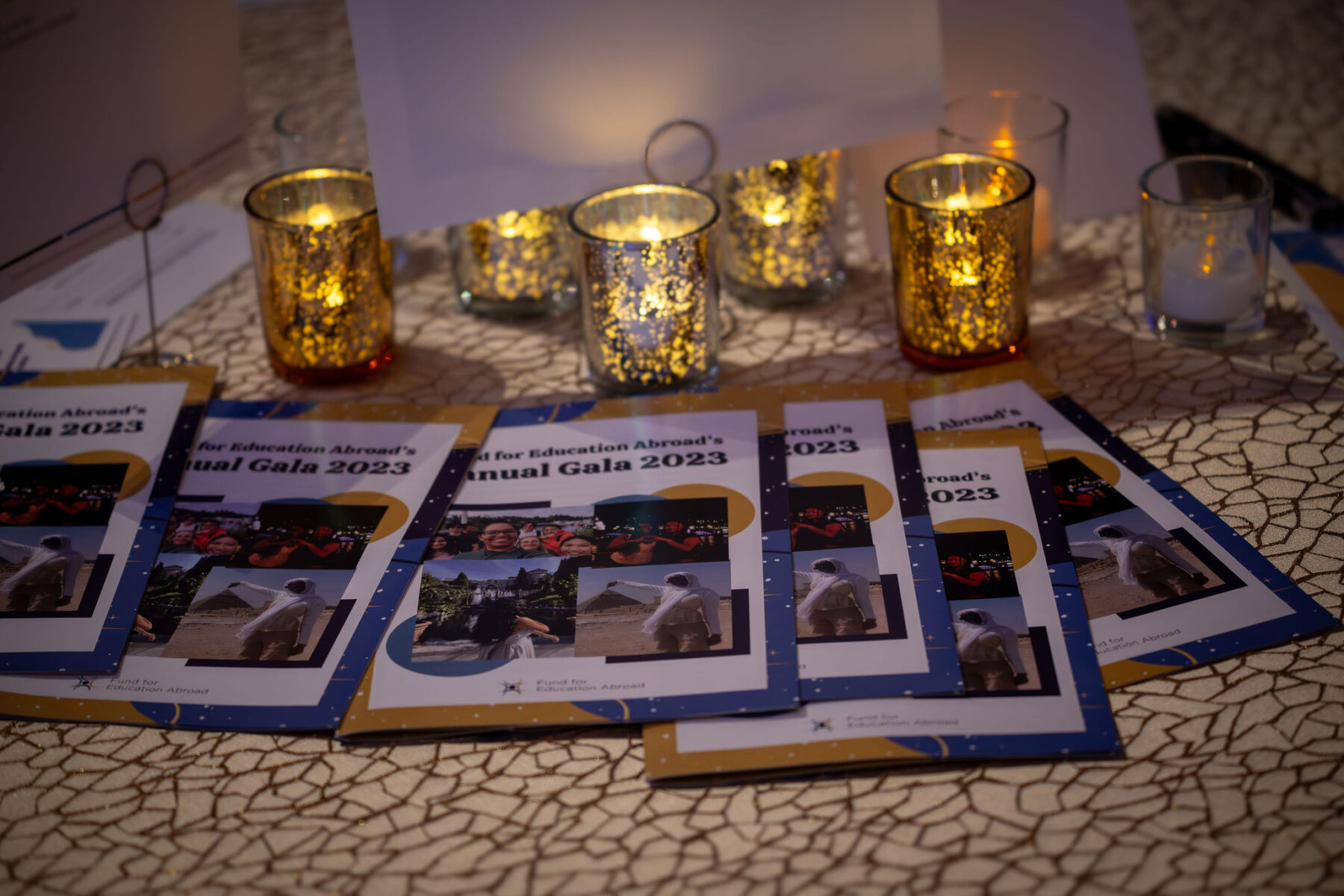 Sponsor an Event – Fund for Education Abroad